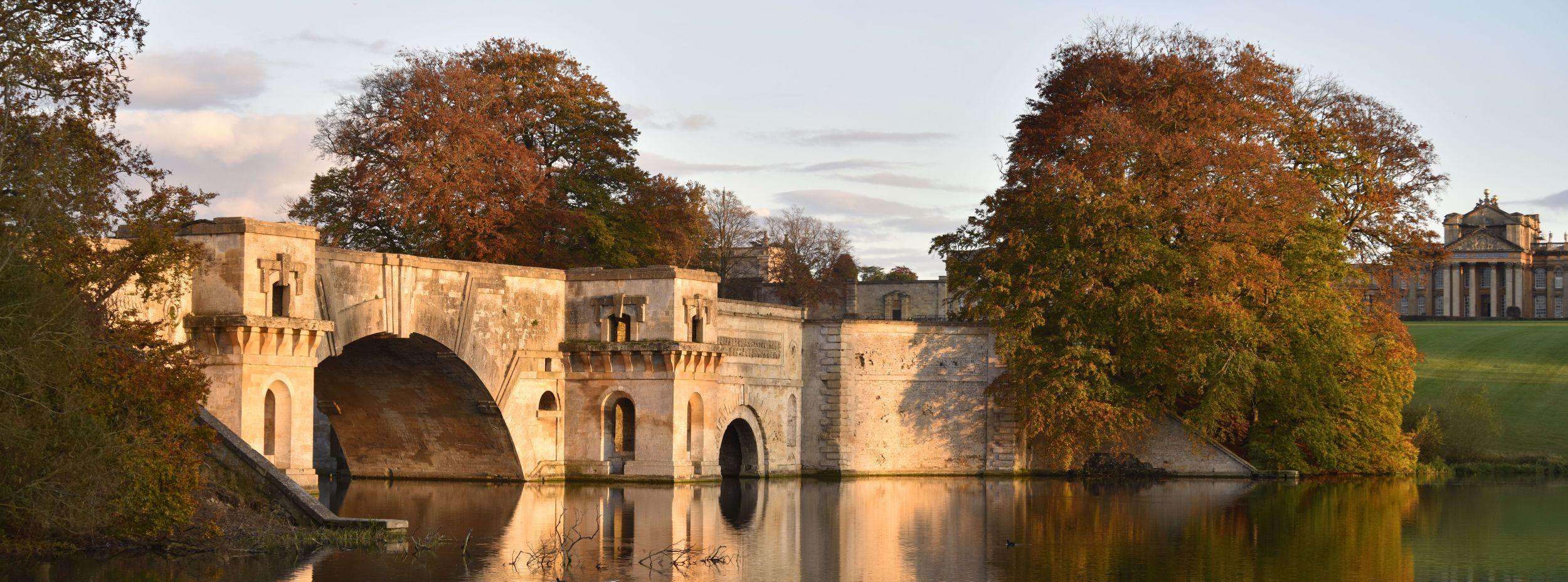 Things to Do at Blenheim Palace | Palace, Park & Gardens