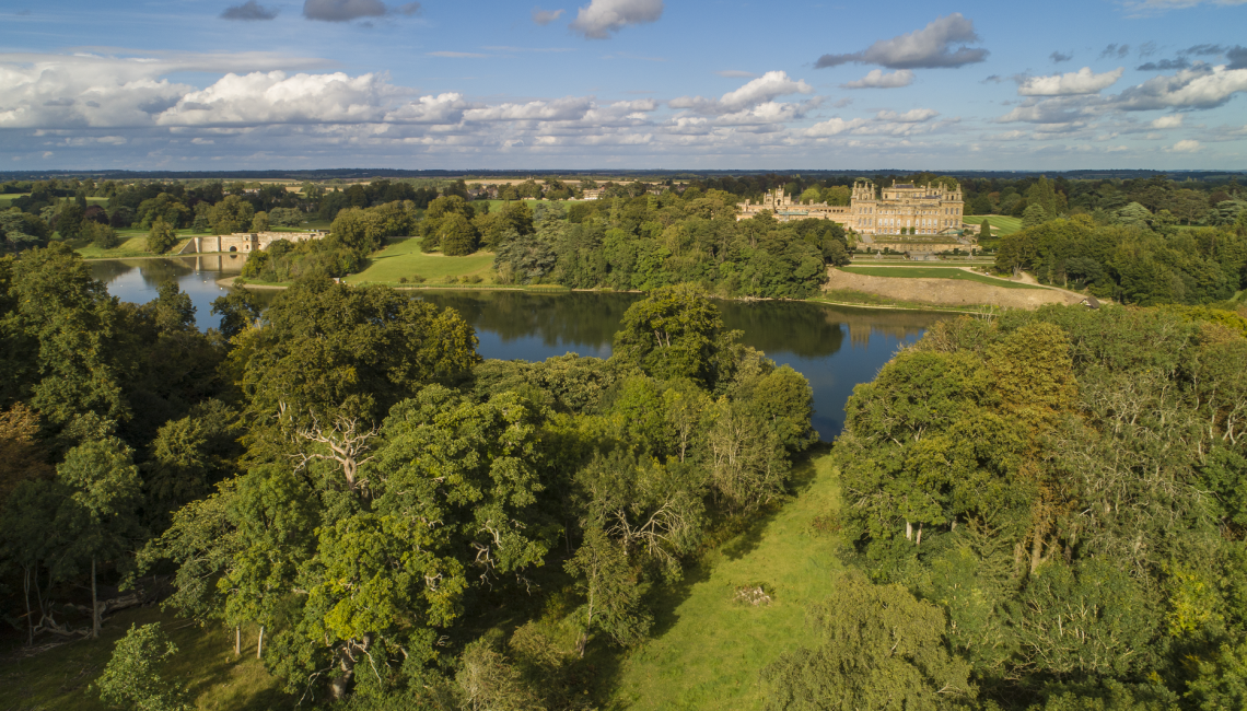 High Park | Ancient Woodland at Blenheim Estate
