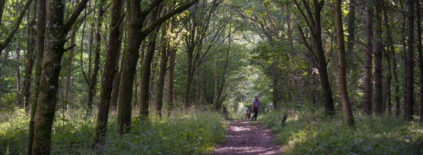 Permissive Paths | Green Travel at Blenheim Estate